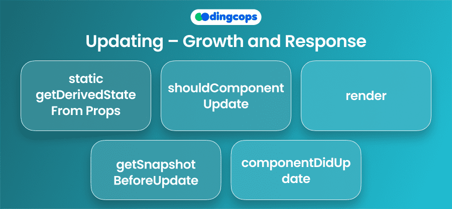 React Lifecycle Methods Explained: A Beginner's Guide 2024 - CodingCops